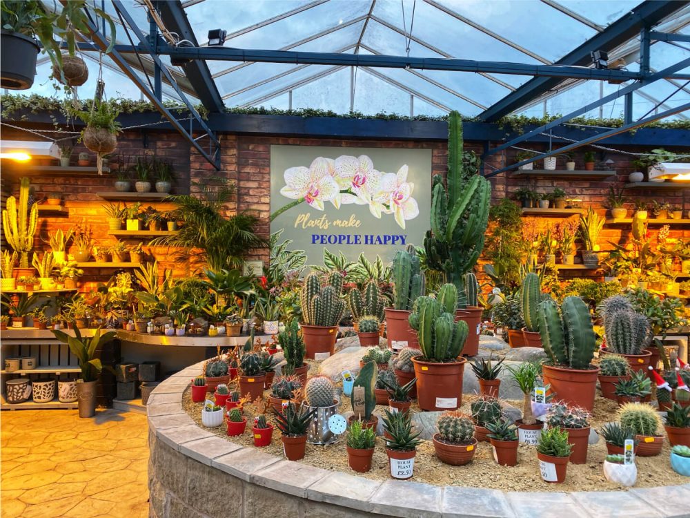 New House Plant Area Opening - Premier Plants